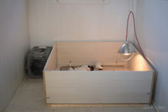How to Build a Sturdy, Take-Down Whelping Box