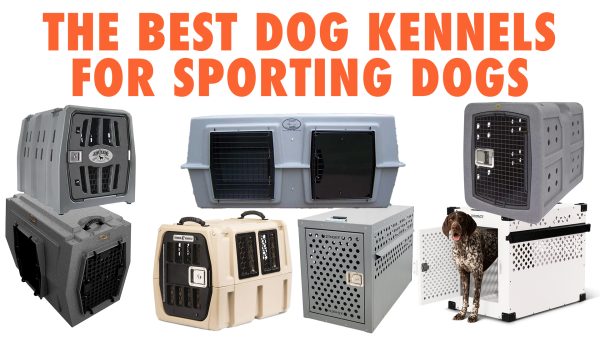 Top 8 Crates/Kennels for Traveling with Sporting and Upland Hunting Dogs